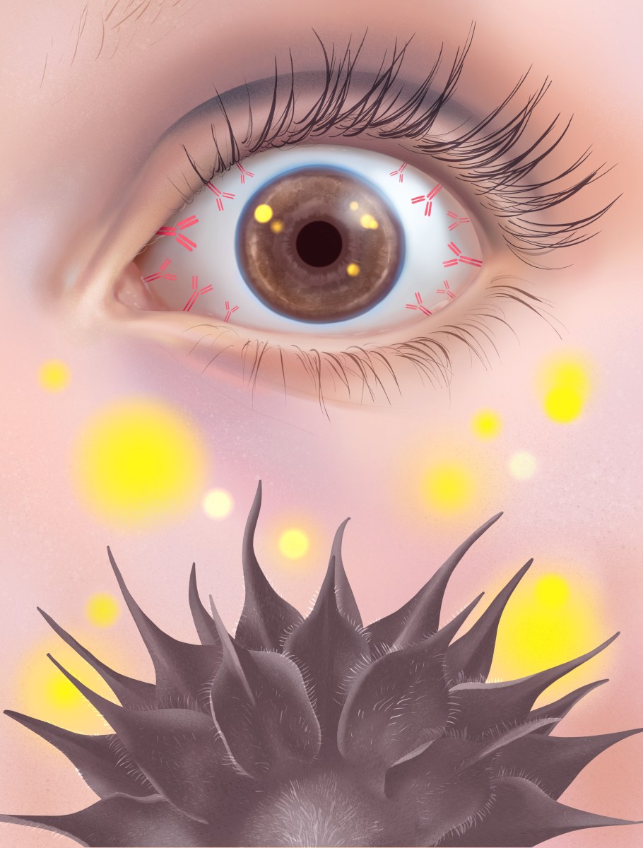 Hyper vigilance – Fiona Rose Illustration